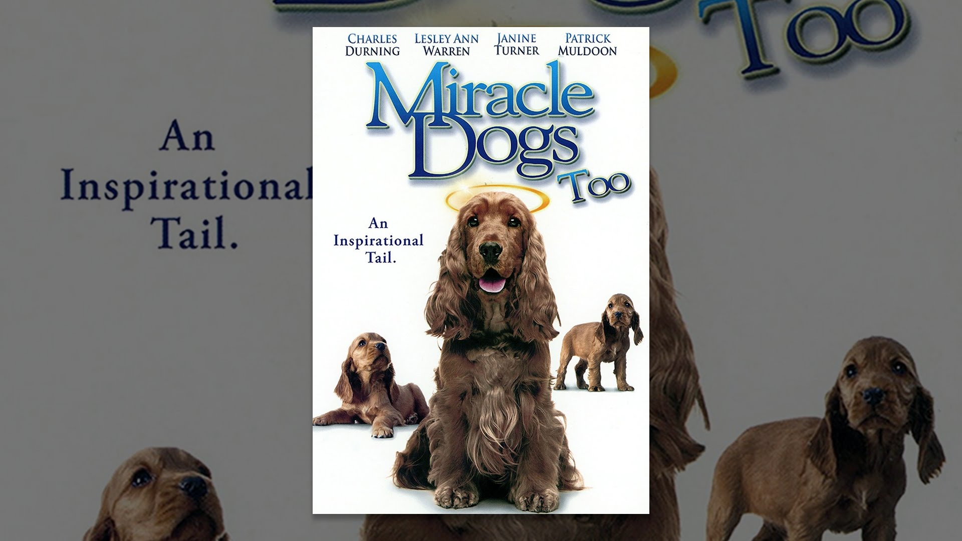 Miracle Dogs Too - DognDoggy